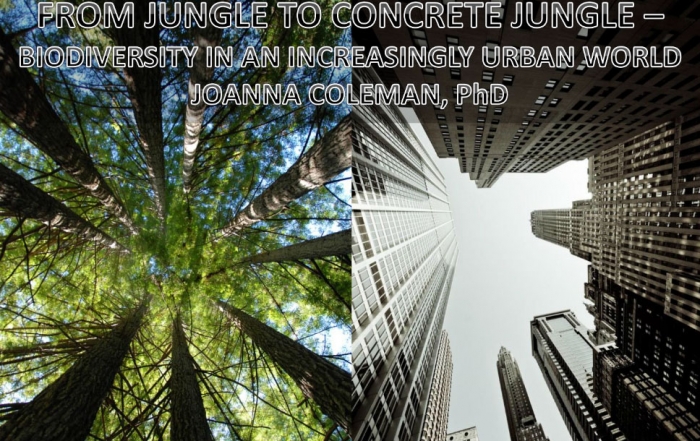 biodiversity Archives - The Urban Ecologist