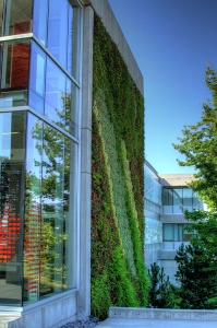 Asia Environment Lecture - Greening the Built Environment - part 1 ...