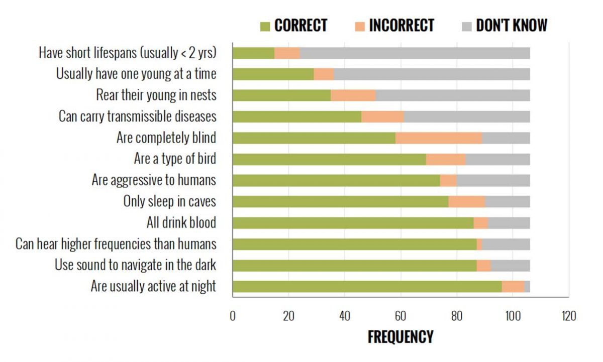 Cheryl YIP Yi Xiu - The Urban Ecologist