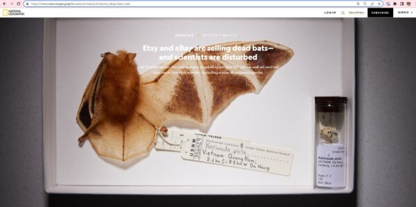 Blog - The Urban Ecologist